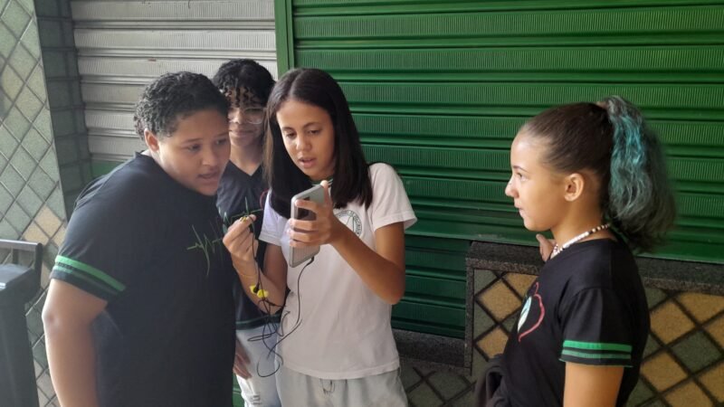 Atividade prática com Textos dramáticos – VERDINHO